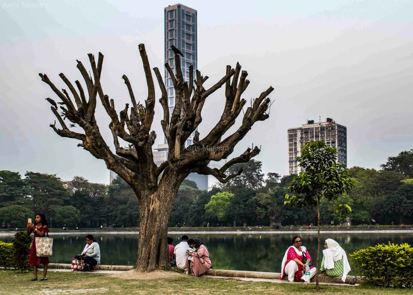 Urbanisation at the cost of Deforestation by Goutam Podder | Aarts Maestro